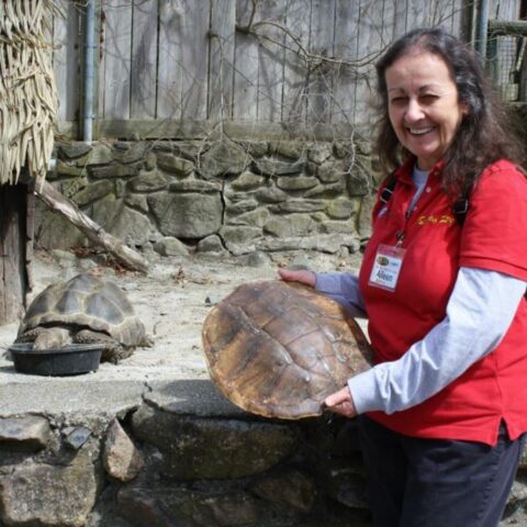 Docent Program | Southwick's Zoo