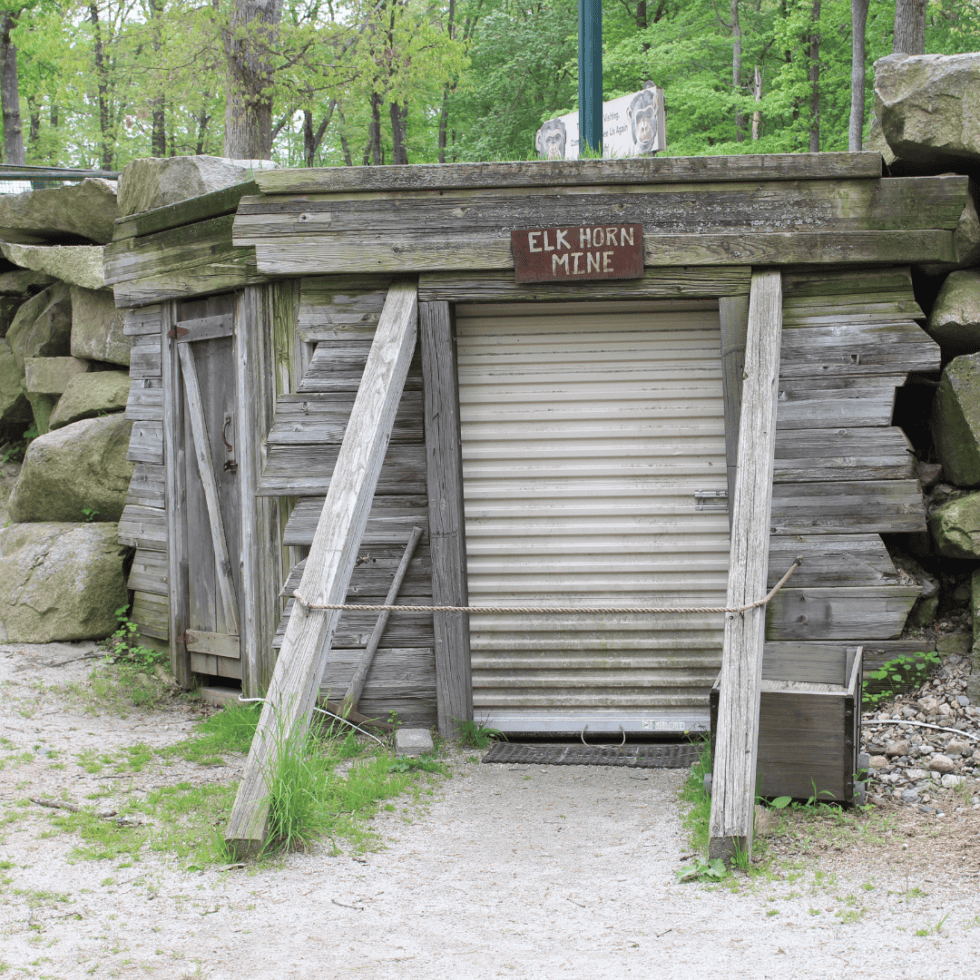 Plan Your Visit | Southwick's Zoo