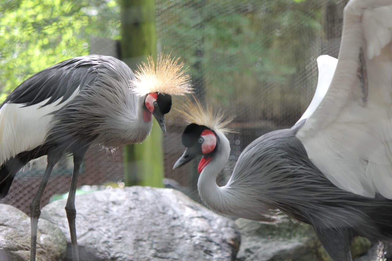 Visitor Info | Southwick's Zoo