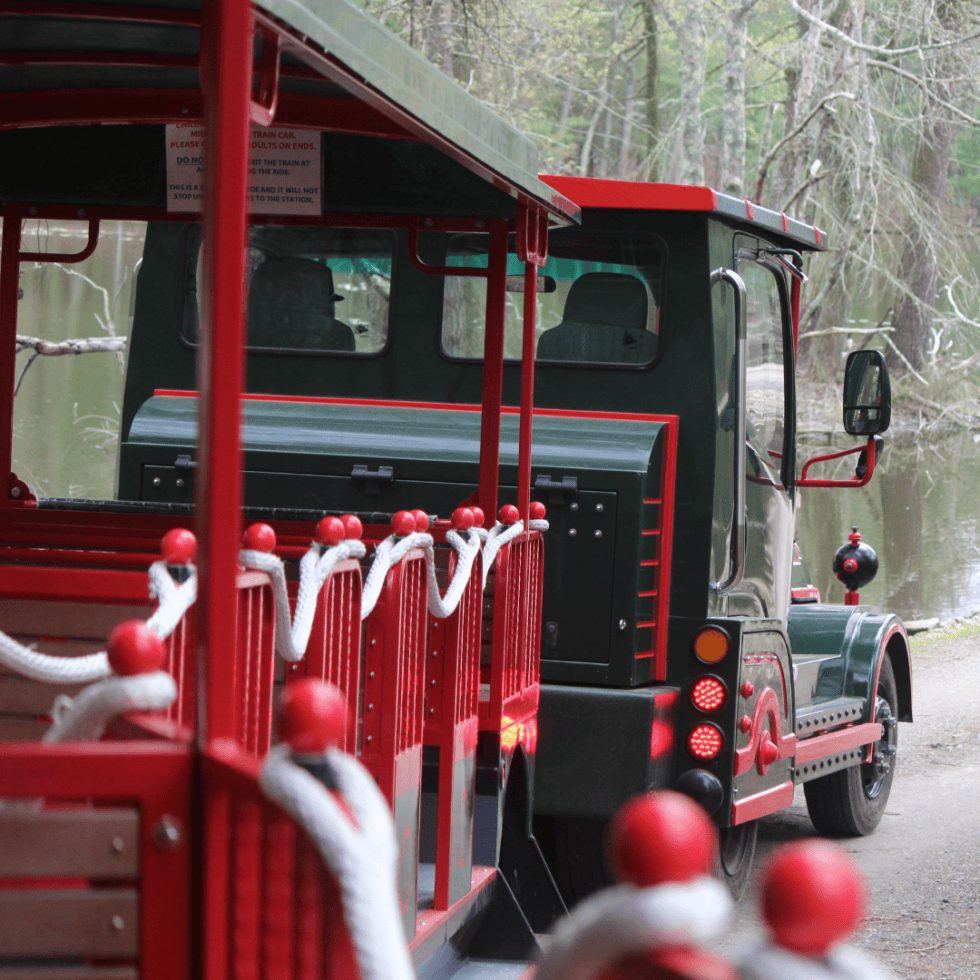 Plan Your Visit | Southwick's Zoo