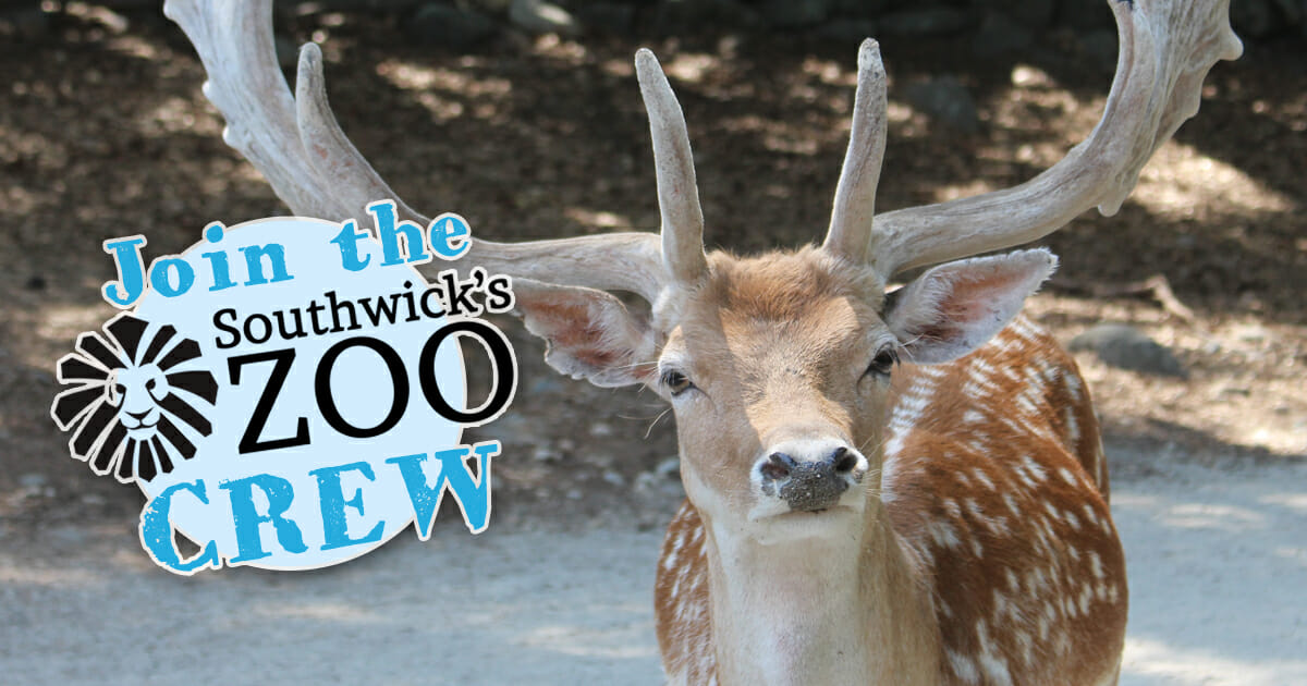 Employment | Southwick's Zoo